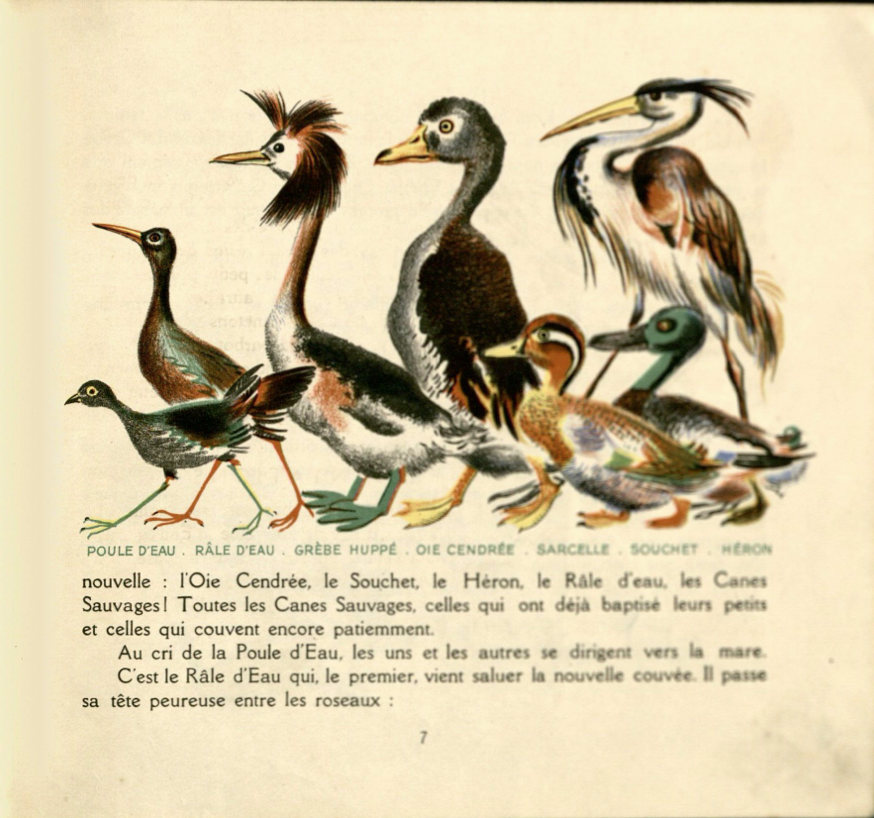 Albums du Père Castor: “with that delicate gaiety which shows they come ...